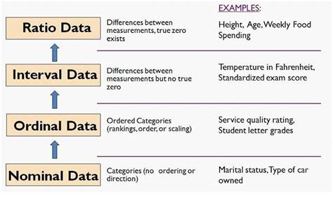 Level Of Measurement In Spss Exploratory Data Analysis Learning Mathematics Standardized Exam