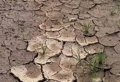 Key Soil Problems In Soil Cause And How To Prevent