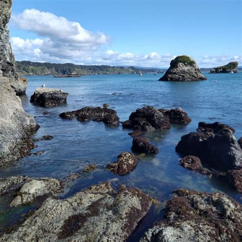 Exploring The Tide Pools Of The Sonoma Coast The Official Bodega Bay