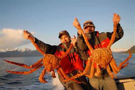 My Memory Land Alaskan King Crab