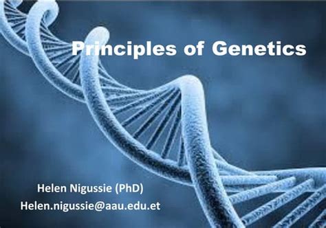 Sex Determination Chromosomal Theory Of Sex Determination Pptx