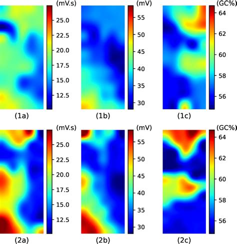 Figure 1 From Leveraging High Density Emg To Investigate Bipolar