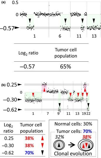 Results Of Array Comparative Genomic Hybridization Cgh Analysis For Download Scientific