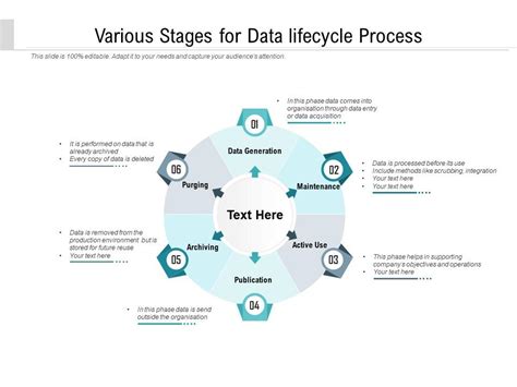 Stages In A Data Lifecycle Explained Eroppa