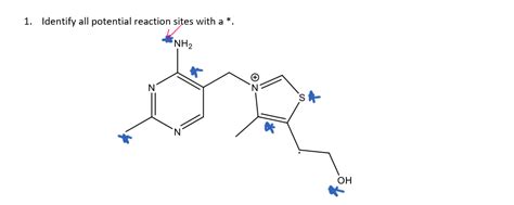 Solved Code Classasciimathidentify All Potential