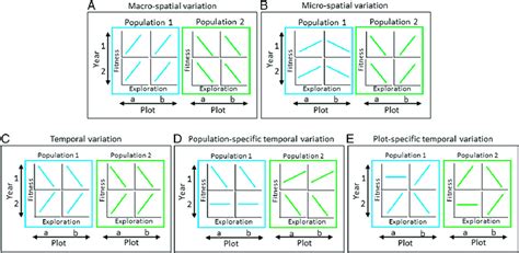 distinct heterogeneous selection scenarios illustrated for two