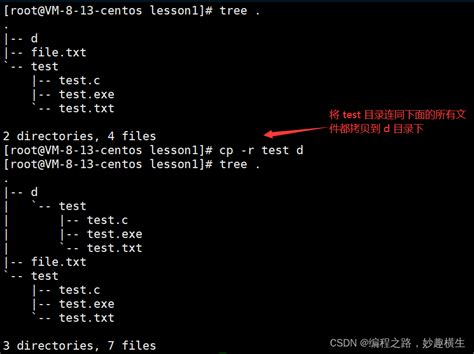 Linux常见指令汇总