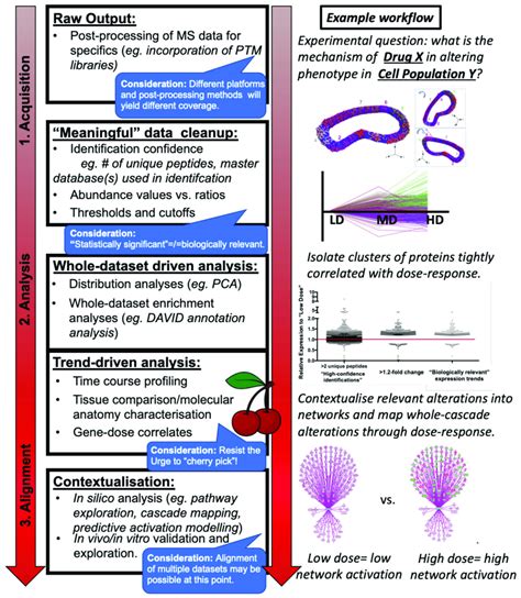Schematic Summarising Workflows Described To Optimise Omics Style Download Scientific Diagram