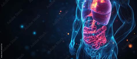 Human Digestive System Illustration With Glowing Intestines And Organs