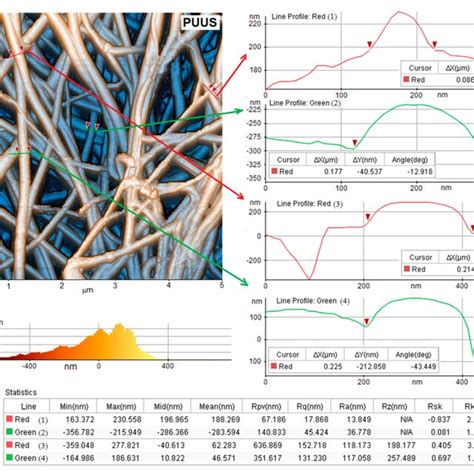 Afm Morphology Of Puus Nanofibrous Mats A 2d Image Of Afm Analysis