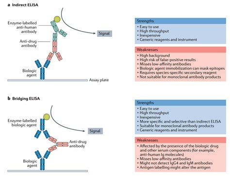 Ligand Binding Analysis Lba Creative Diagnostics