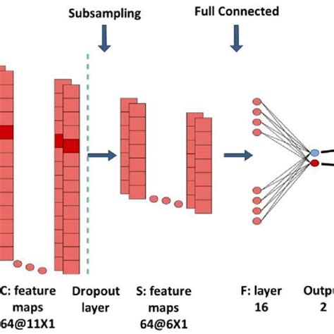 Schematic Diagram Showing The Architecture Of CNN D Download Scientific Diagram