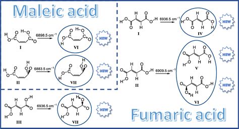 Fumaric Acid Lewis Structure