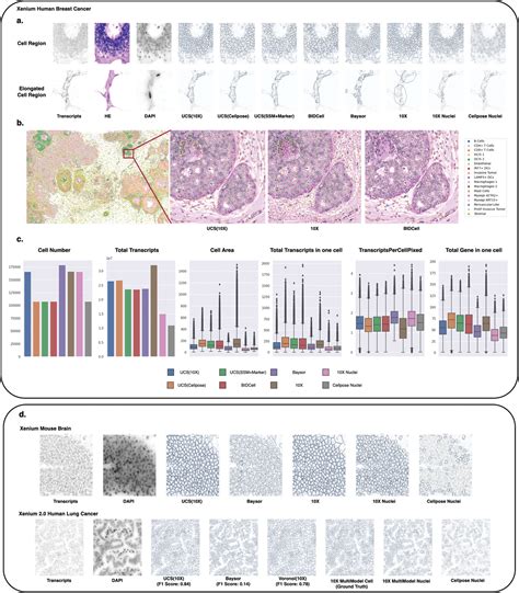 Ucs A Unified Approach To Cell Segmentation For Subcellular Spatial