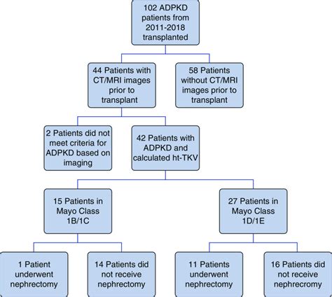 Mayo Imaging Classification May Be Useful In Determining The Need For