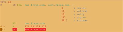 Linux之dns正反向解析、辅助dns的配置及远程更新dhcp 触发反向解析 Csdn博客
