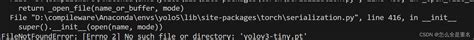 yolo系列报错（持续补充ing） notimplementederror non relative patterns are uns csdn博客