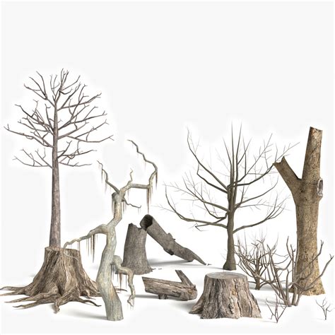 3d Dead Plant Tree Model