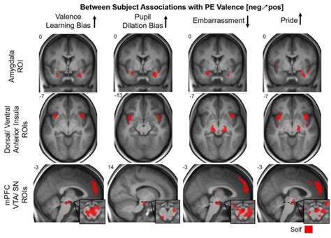 Social Emotions Social Neuroscience Lab Lübeck University