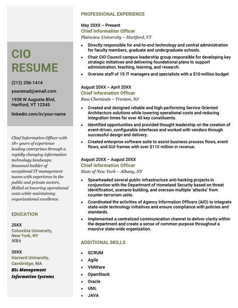Cio Resume Template