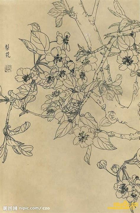白描繪畫技巧釋義分類介紹繪畫歷代白描名家文學白描白描手法白描特點中文百科全書