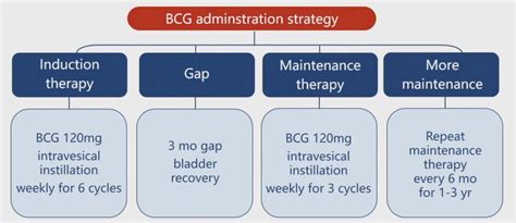 Aua 2023 The Tolerability And Efficacy Of Bcg Administration After Recurrence In Bladder