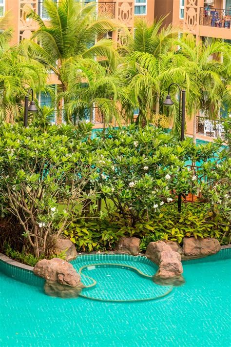 Jacuzzi Nella Piscina Immagine Stock Immagine Di Indietro 55564617