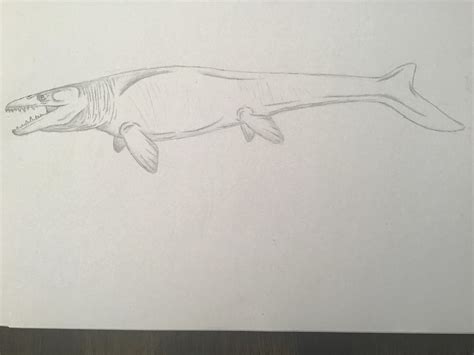 Prognathodon Saturator By Ethoraptor On Deviantart