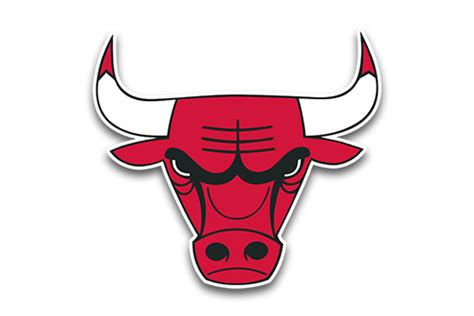 Chicago Bulls Mockups — Mia Kaghan