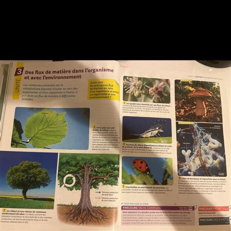 Est Ce Que Vous Pouvez Maider à Faire La Question 2 Et 3 Svp Chapitre