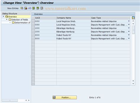 FDM CUST SAP Tcode Automatic Change Of Document Fields Transaction Code
