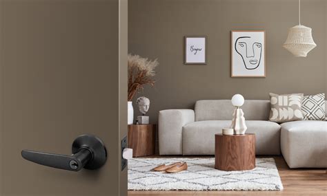 What Is The Difference Between Privacy Passage And Dummy Door Handles Miles Nelson