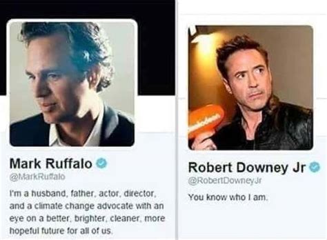 20 Robert Downey Jr Memes That Prove Hes Actually A Real Person
