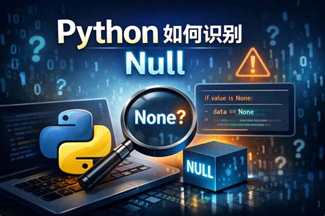 Python 如何识别null Python 如何识别null