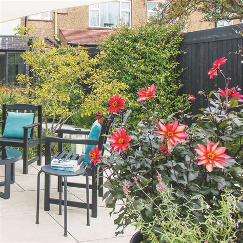 What Is Peat Compost What You Need To Know About The Controversial