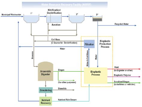 Process Flow Diagram Of Mango Materials Process Download Scientific