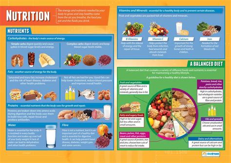 Nutrition Poster Food Science Poster Gym And Fitness Poster