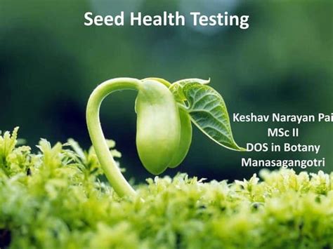Seed Testing For Germination Ppt