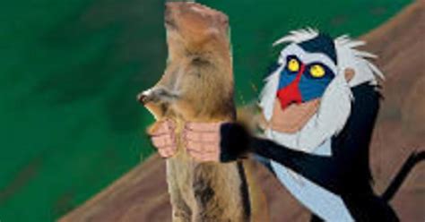 Simba No Album On Imgur