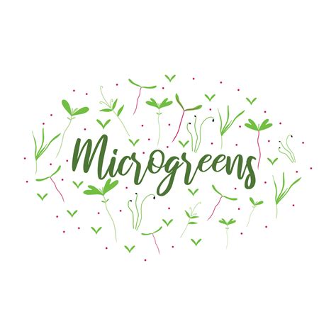Logo With Microgreens Lettering With Microgreens Lettering With