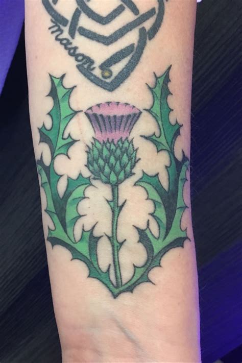 Scottish Thistle Tattoo