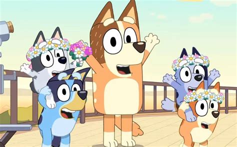 Bluey Finale The Sign Introduces Two Chihuahua Mums
