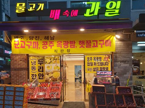 물고기 배속에 과일 Band