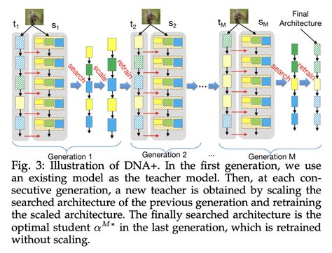 Revolutionizing Neural Network Design The Emergence And Impact Of DNA Models In Neural
