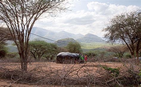 Lketinga Leparmorijo Der Ex Mann Der Weißen Massai Kenia