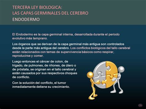 Nueva Medicina Drryke Geerd Hamer G E R M á N I C A Ppt Video Online Descargar