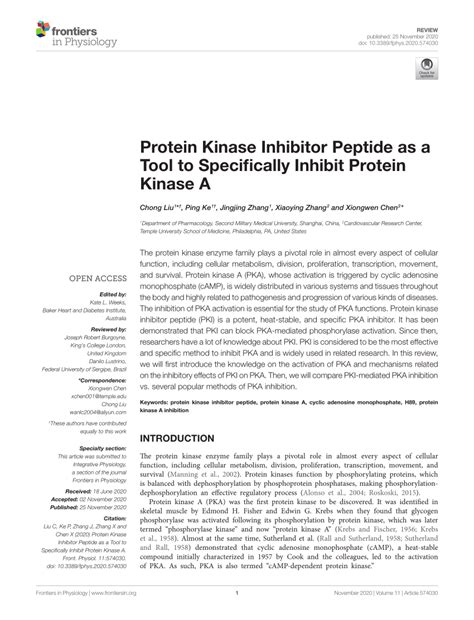 Pdf Protein Kinase Inhibitor Peptide As A Tool To Specifically