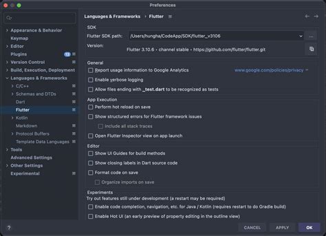 Visual Studio Flutter Localizations From Sdk Depends On Intl And Fstore Depends On Intl
