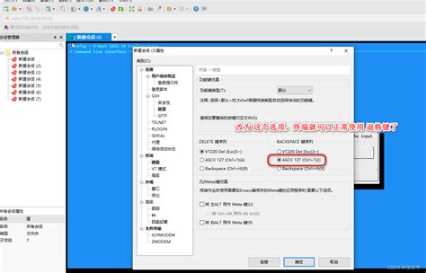 解决xshell ssh 连接远程ubuntu make menuconfig 退格键无法删除问题 xshelllinux内核配置make