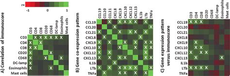 Heatmaps Of Pearson Correlation Coefficients The Heatmaps Show Results